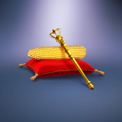 KWS EMPORIO vroege maïs (FAO 215)- KWS Benelux B.V.